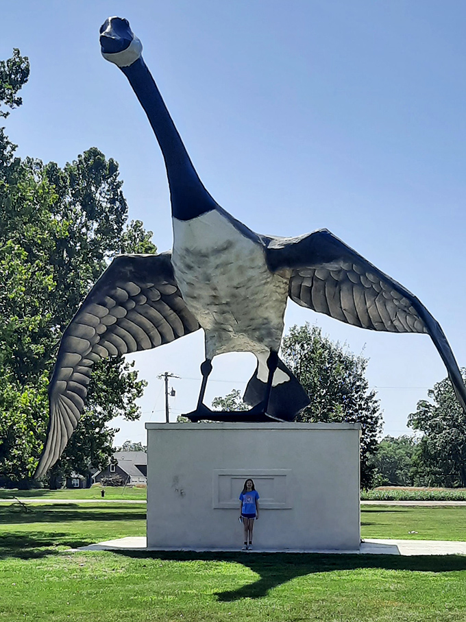 Maxie creates the perfect silhouette at sunset. Nothing says "memorable road trip" like a giant goose backlit by golden hour magic.