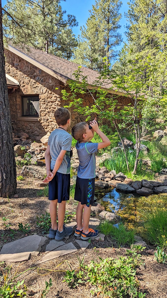 Young explorers discover that binoculars make everything more exciting &ndash; especially when there's actual wildlife to spot nearby.