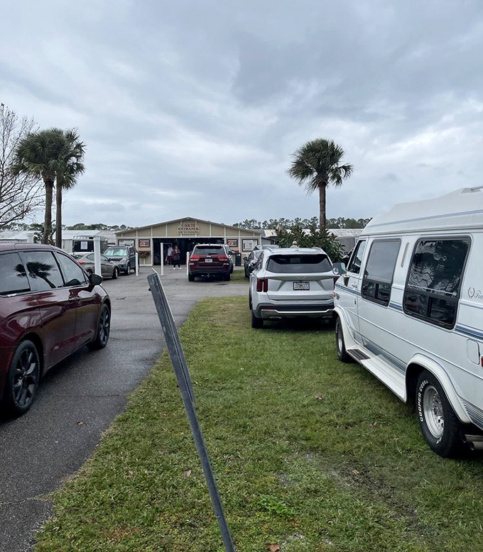 Daytona's covered walkways ensure your treasure hunting continues rain or shine, all year round.