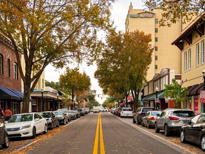 Lakeland's tree-lined streets create natural canopies perfect for afternoon strolls that cost nothing but deliver priceless moments.