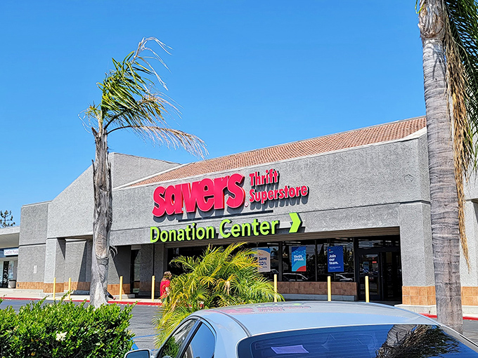 Savers' bold red signage pops against the California sky. Inside this superstore, bargains multiply faster than dust bunnies.