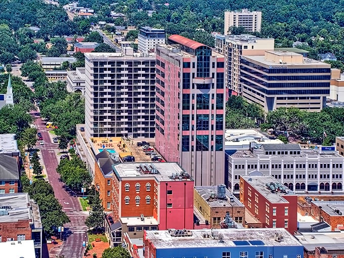 Tallahassee combines capital city amenities with surprisingly affordable neighborhoods. Politics optional, savings guaranteed.