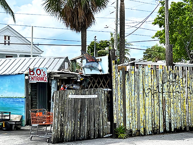 The entrance to seafood anarchy – where the building looks improvised but the fish sandwiches are carefully crafted masterpieces.