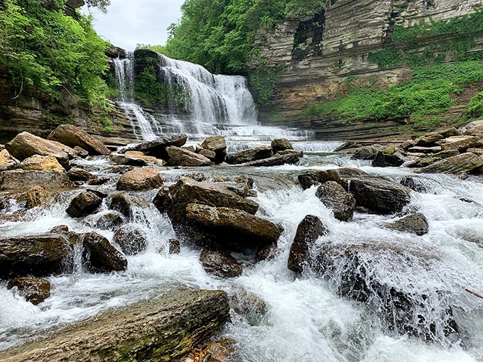 Burgess Falls near Cookeville offers nature's own spectacular show, with hiking trails suitable for adventurers of all ages.