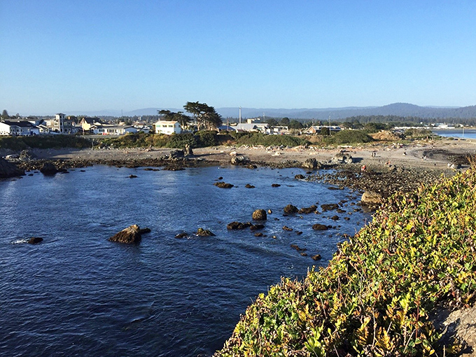 Crescent City: Coastal campgrounds allow visitors to fall asleep with the Pacific as their lullaby and wake to spectacular ocean views.