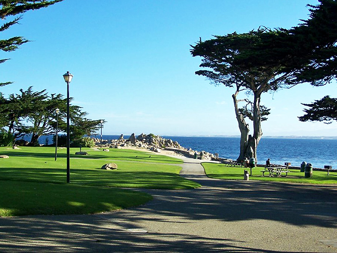 The seaside park in Pacific Grove offers front-row seats to nature's greatest show: sunset over the Pacific, with cypress trees applauding silently.