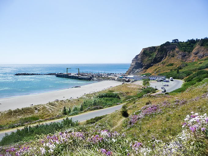 Wildflowers frame this breathtaking Port Orford coastline, where retirement dreams don't require a millionaire's budget.