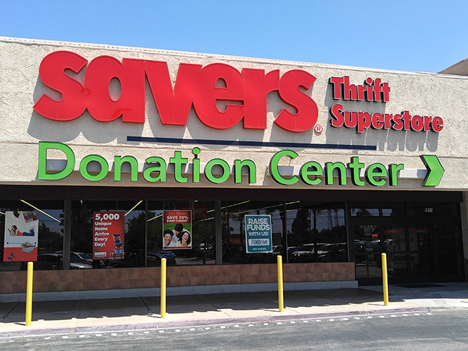 The palm tree stands sentinel outside Savers, a tropical guardian of this temple to thrift and reuse.