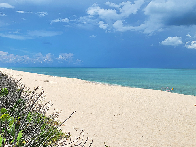The soft golden light at Sebastian Inlet transforms ordinary sand into a pathway that seems to lead straight to contentment.