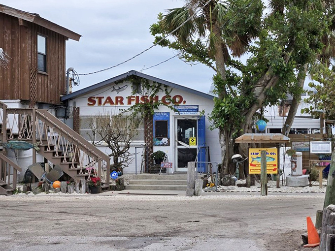 This tiny white building might look like someone's beach house, but it's actually seafood paradise with a working waterfront view.