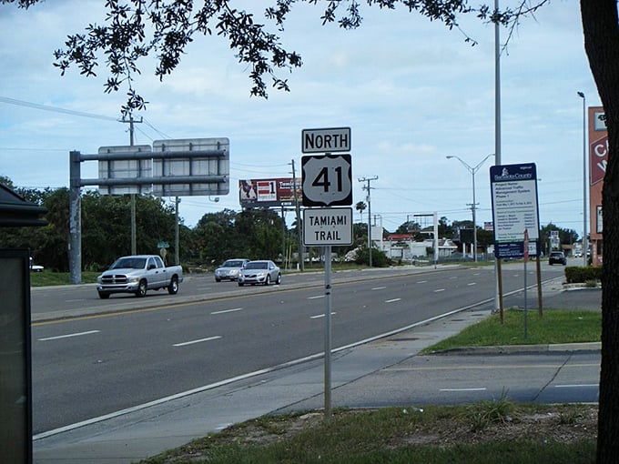 This historic highway connecting coasts offers a glimpse of old Florida, before Mickey Mouse became the state's most famous resident.