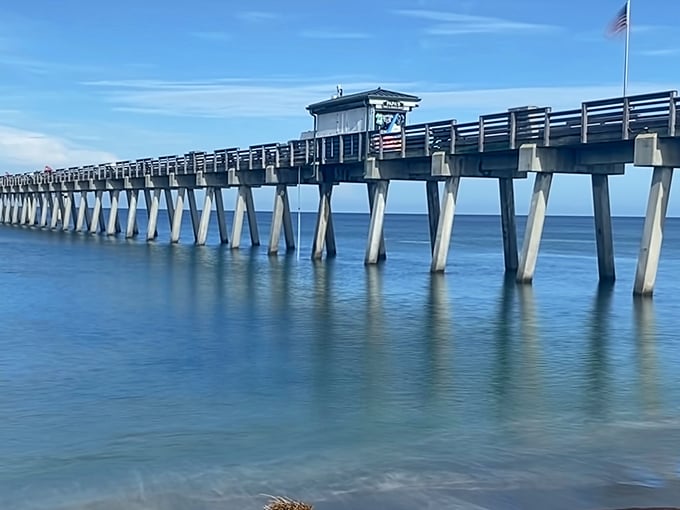 Venice's fishing pier stretches toward the horizon, promising perfect sunset views and maybe a catch.
