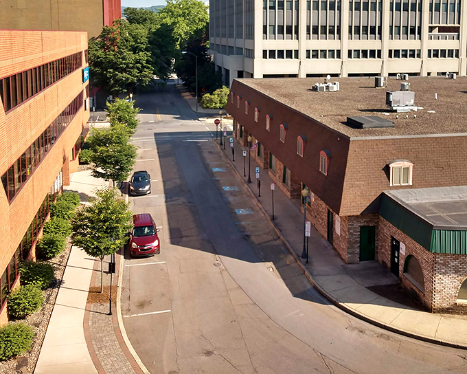 Sunlight dapples Williamsport's tree-lined streets where your retirement savings can take deeper roots than these majestic oaks.