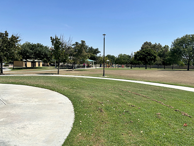Almondale Park's expansive green spaces provide room to breathe, where families gather without fighting for territory like on crowded state beaches.