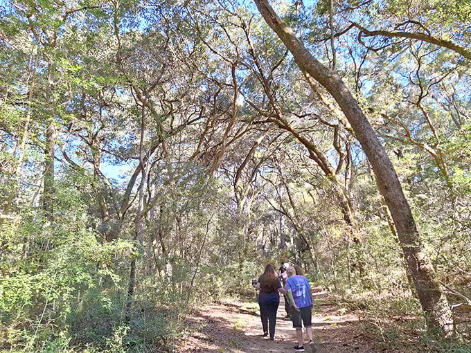 Walking these trails hand-in-hand should be prescribed by doctors as the ultimate remedy for information overload and screen fatigue. 