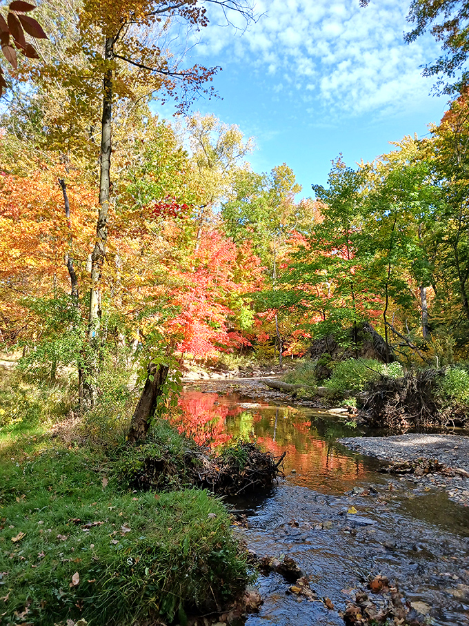 Autumn creek reflections double nature's color show&mdash;it's like getting two seasons for the price of one.