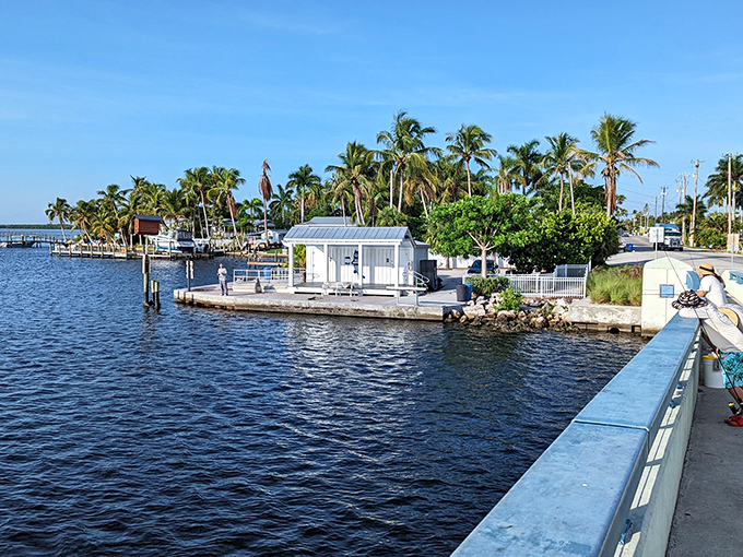 The view from Matlacha Bridge offers a perfect Florida postcard&mdash;blue water, swaying palms, and the promise of island time just ahead.