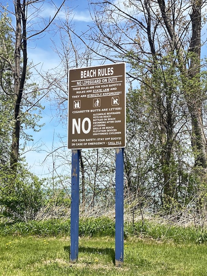 Every paradise has rules&mdash;this sign politely reminds you that freedom comes with responsibility, even at the beach.