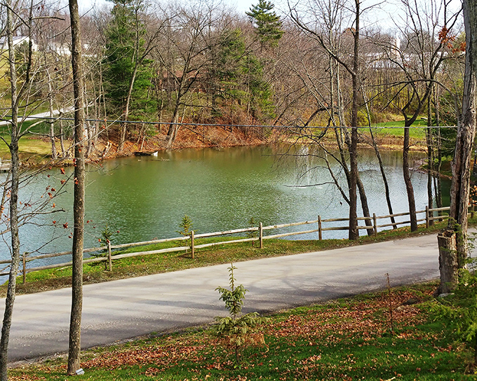 This serene pond view comes complimentary with your meal &ndash; a reminder that in Berlin, even the scenery seems designed to aid digestion.