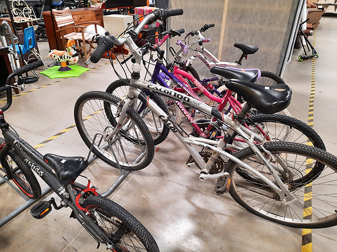 Wheels of fortune await cycling enthusiasts, from first-time riders to weekend warriors looking for affordable two-wheeled adventures.