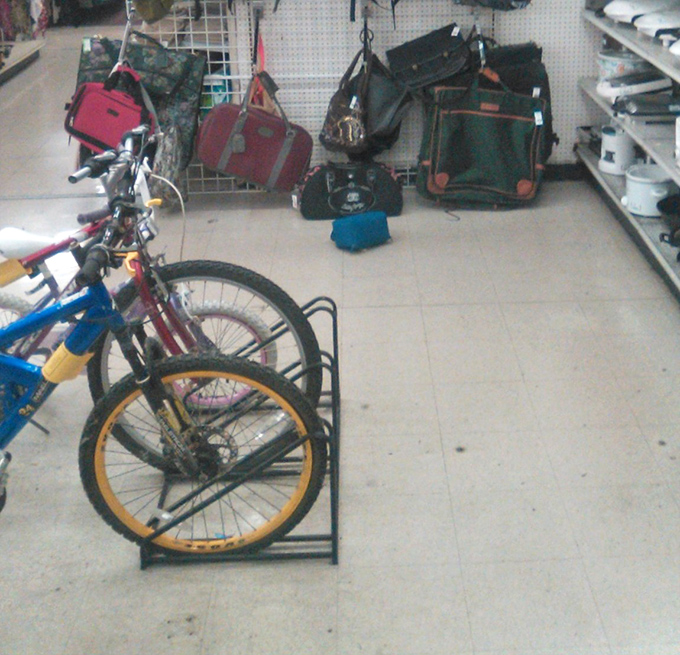 Bicycles lined up like eager pets waiting for adoption—transportation options that combine exercise, sustainability, and wallet-friendly economics.