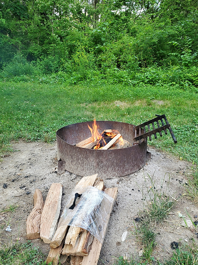 Evening campfires create the kind of memories that smartphones can't capture but hearts never forget.