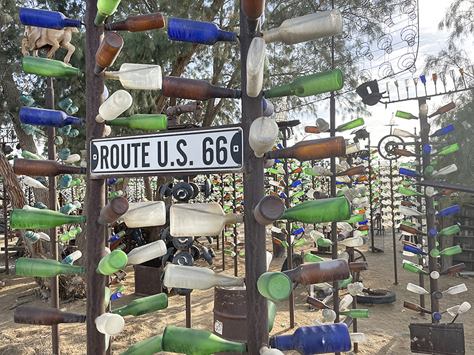 Bottle trees as far as the eye can see, creating a maze of color and light. Getting lost here would be a delightful accident.