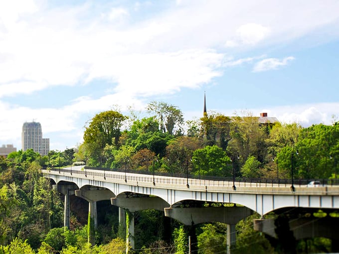 The graceful arch of this bridge connects Lynchburg's neighborhoods while offering views that make commuters forget they're commuting.