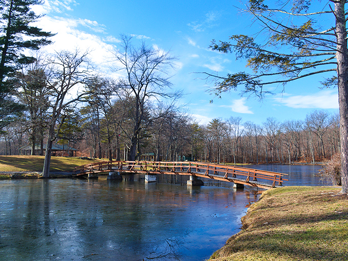 A wooden footbridge invites contemplative strolls across still waters at A.W. Marion State Park. Nature's version of meditation, just minutes from downtown.