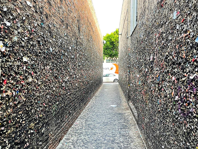 Bubblegum Alley creates the world's stickiest tourist attraction, oddly fascinating and surprisingly Instagram-worthy. 