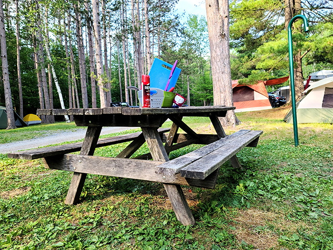 Camping simplicity at its finest – a weathered picnic table that's hosted countless family meals and card games under Pennsylvania's starry skies.