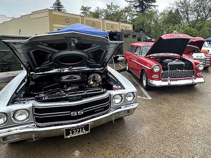 Classic car shows bring chrome-plated nostalgia to Red Bluff, where conversations about carburetors can last longer than most marriages.
