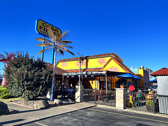 Casa Fiesta brings tropical vibes to northern Ohio. That palm tree sign is the Midwest's way of saying, "We understand vacation mindset." 
