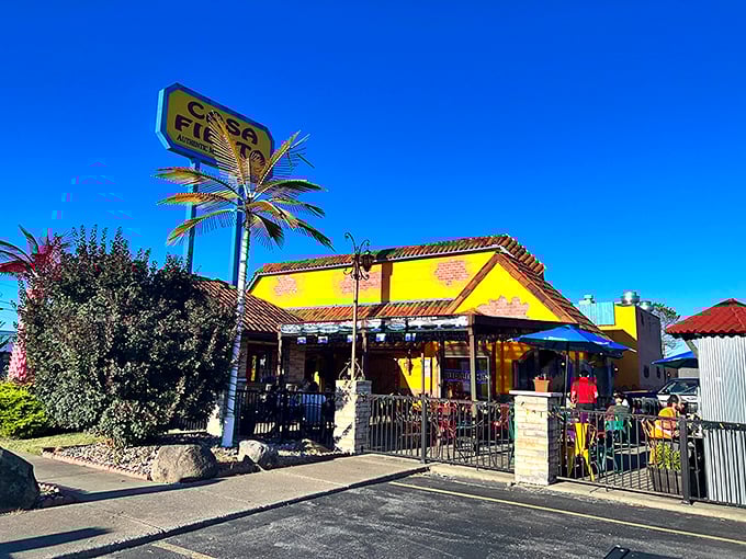 Casa Fiesta brings a splash of color to Norwalk's dining scene, where palm trees and festive d&eacute;cor transport you far from Ohio winters.