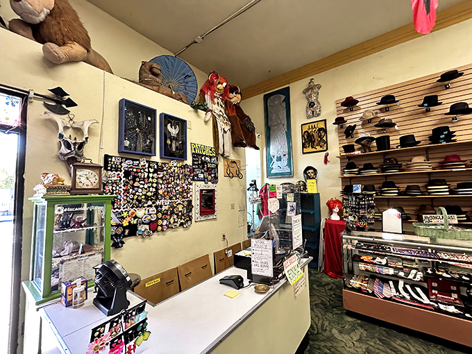 The checkout counter doubles as a museum of curiosities, where pins, patches, and desert oddities frame your final transaction.
