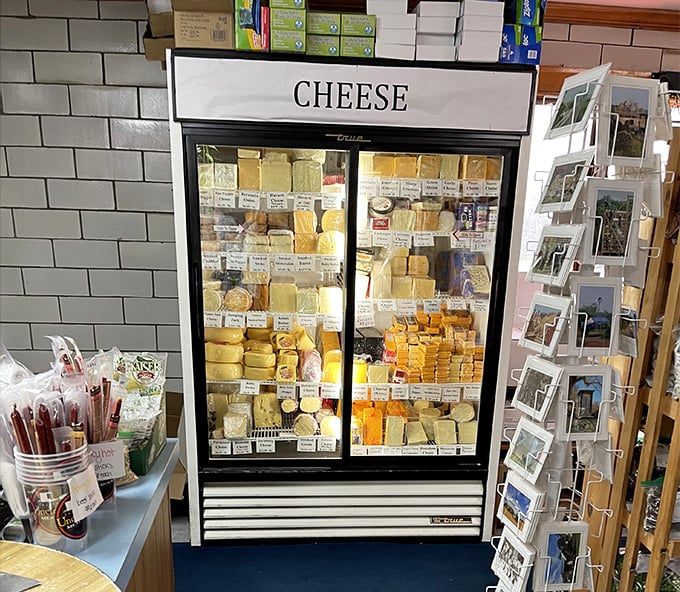 The cheese refrigerator&mdash;a glorious wall of dairy possibilities. Yellow, white, orange treasures waiting to change your sandwich game forever.