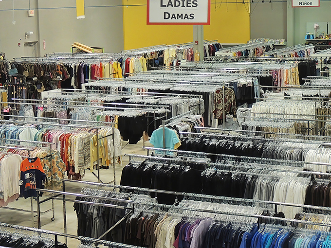 The ladies' clothing section stretches toward the horizon like a textile sea. Organized by color and size, it transforms what could be chaos into a surprisingly pleasant shopping experience.