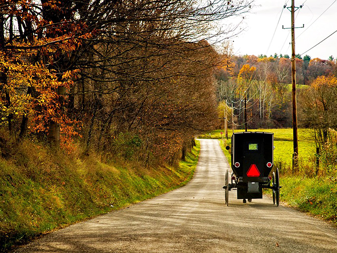 Fall in Amish Country: where nature puts on a show that makes Broadway productions seem understated. No ticket required.