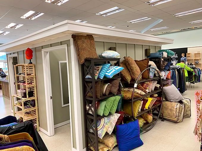 A cozy corner showcasing pillows and home textiles—because refreshing your living space shouldn't require a second mortgage.
