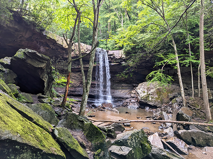 Cucumber Falls doesn't just fall&mdash;it performs. This natural spotlight in the forest creates a moment of zen that no meditation app could ever replicate.