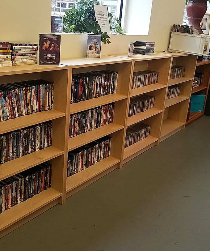 The DVD and media section &ndash; where you can build an impressive film library for less than the cost of a single movie ticket.