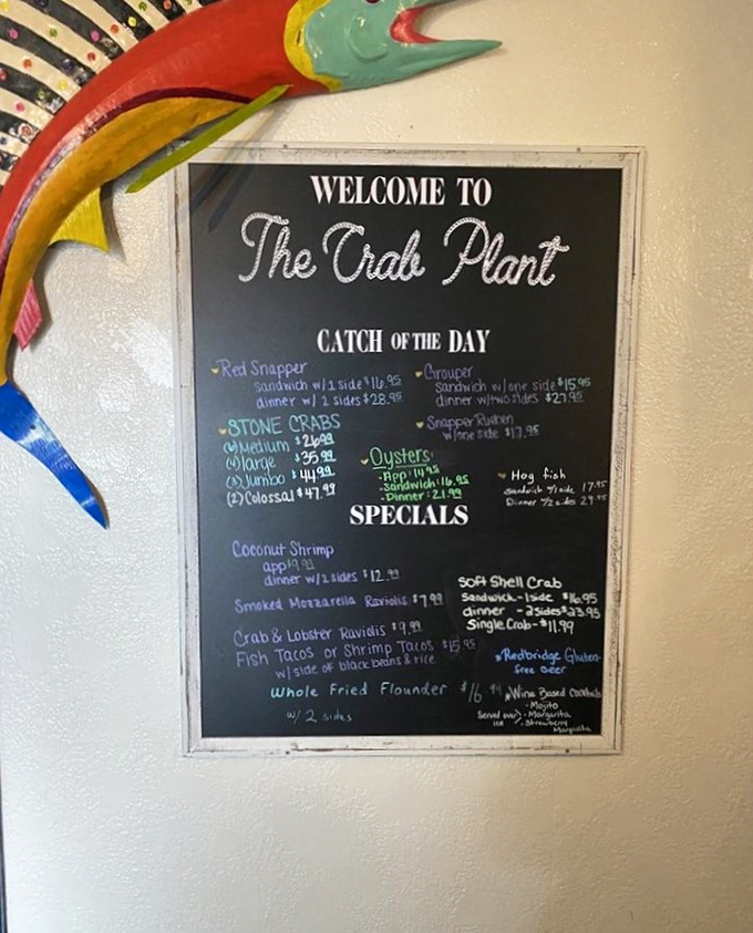 The daily specials board&mdash;a treasure map where X marks the spot for coconut shrimp, fish tacos, and whatever the Gulf decided to share today.