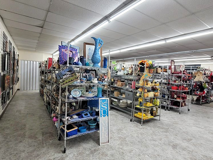 Treasure aisles stretch into the distance, where blue vases and colorful kitchenware create an Instagram-worthy backdrop for serious bargain hunters.