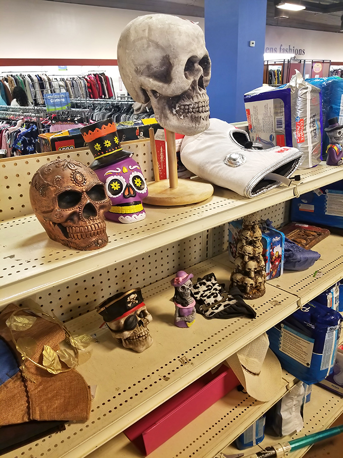 Not just Halloween decor&mdash;these skulls represent the death of retail markups and the resurrection of decorating budgets everywhere.