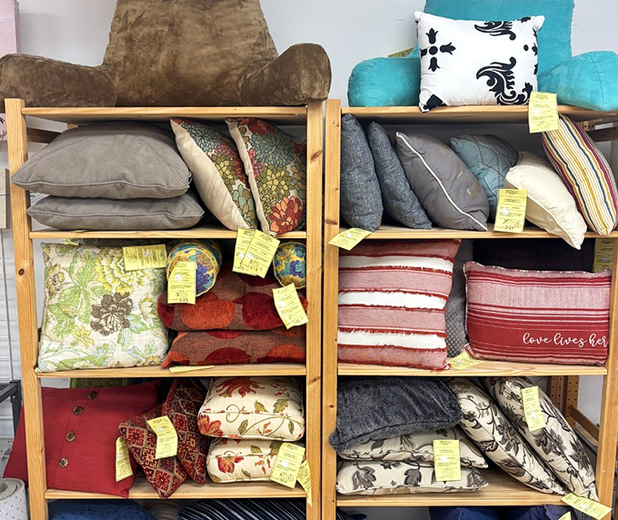 Pillow talk of the thrifty kind. Those patterned cushions could transform a tired couch faster than you can say "interior design on a budget."