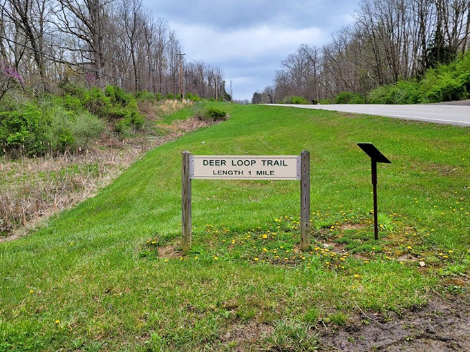 The Deer Loop Trail sign promises a mile of woodland exploration and, if you're lucky, encounters with the park's four-legged residents.