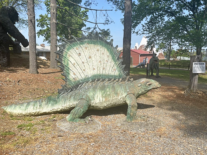 The Dimetrodon's dramatic sail back makes it look like the sports car of the prehistoric world – flashy, distinctive, and built for attention.