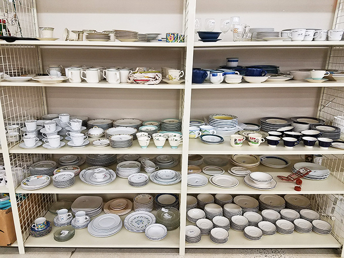 Dishware collections that could outfit restaurants or make your dinner parties absolutely legendary.