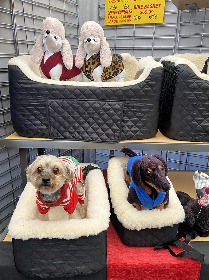 Even the four-legged shoppers find their perfect ride! These pet carriers combine practicality with the kind of comfort that earns tail wags.