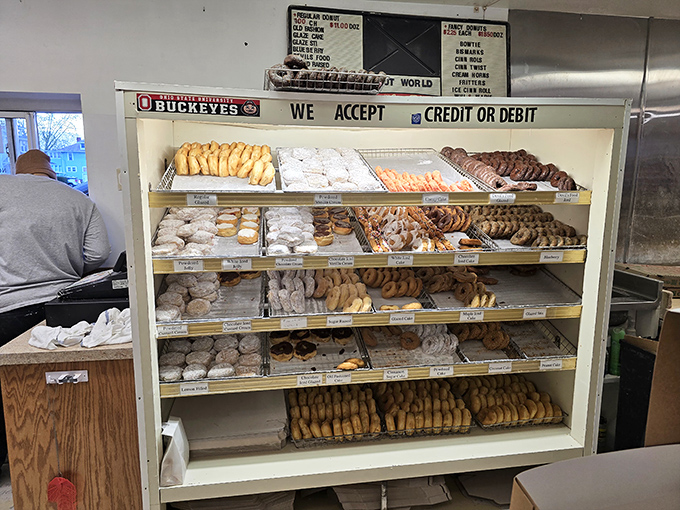 Donut democracy in action—every style represented, no pastry left behind. The hardest part is choosing which delicious candidate gets your vote.
